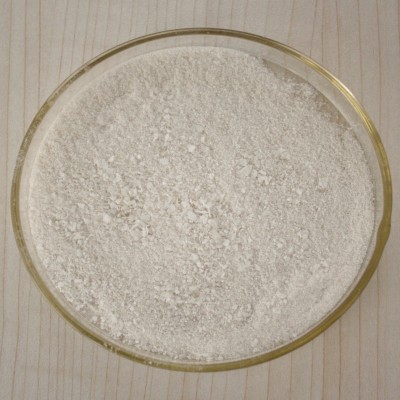 NCC-powder-by-spray-drying – Cellulose Lab | Leading Supplier of ...
