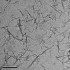 CNC (Cellulose Nanocrystals) or NCC (Nanocrystalline Cellulose ...