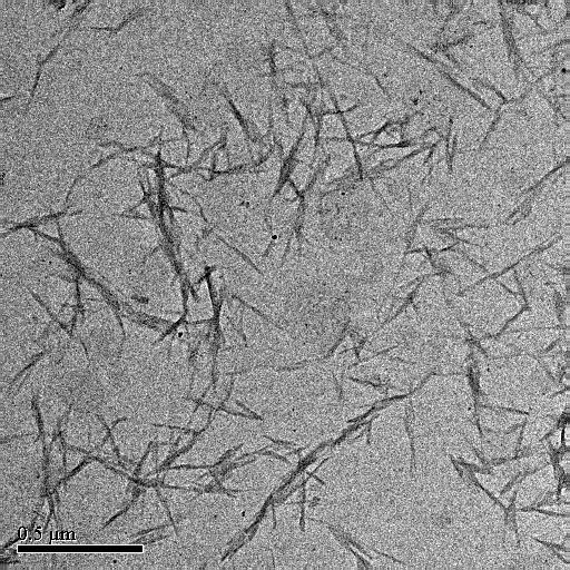 CNC (Cellulose Nanocrystals) or NCC (Nanocrystalline Cellulose ... CNC (Cellulose Nanocrystals) or NCC (Nanocrystalline Cellulose ...