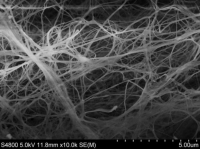 Bacterial Cellulose (BC) TEM 3 – Cellulose Lab | Leading Supplier of ...