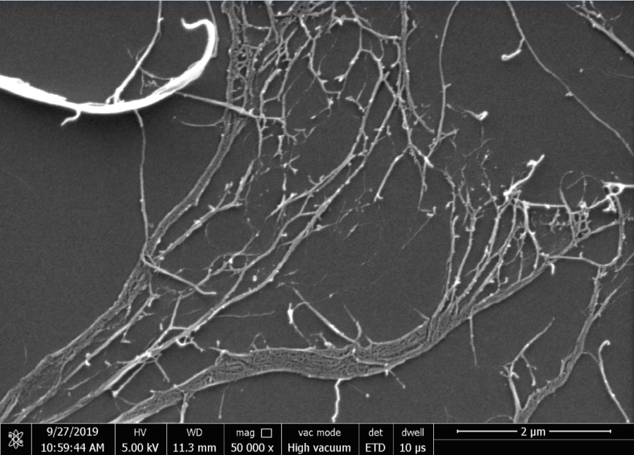 Products for Industries – Cellulose Lab | Leading Supplier of ...