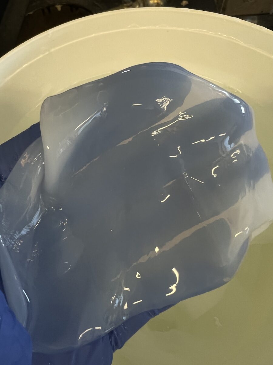 BC (Bacterial Cellulose; Microbial Cellulose; Bacterial Nanocellulose ...